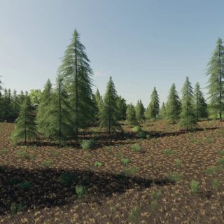 Spectacle Island v1.1 FS19 - FS25 Mody | FS22 Mody