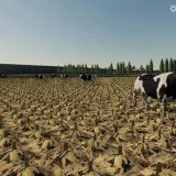 Midwest Dairy Map v1.0 FS19 - FS25 Mody | FS22 Mody