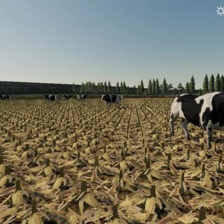 Midwest Dairy Map v1.0 FS19 - FS25 Mody | FS22 Mody