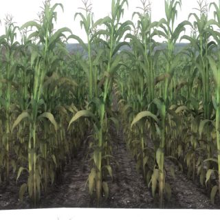 Autumn Oaks: DFMEP The Crop Update v1.0.3 FS19 - FS25 Mody | FS22 Mody