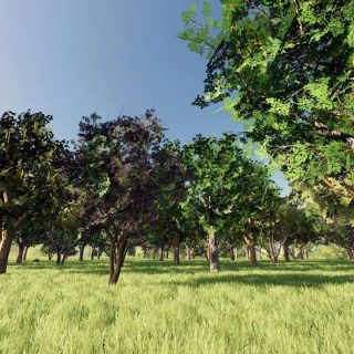 FS22 Sad owocowy v1.0.0.0 - FS25 Mody | FS22 Mody