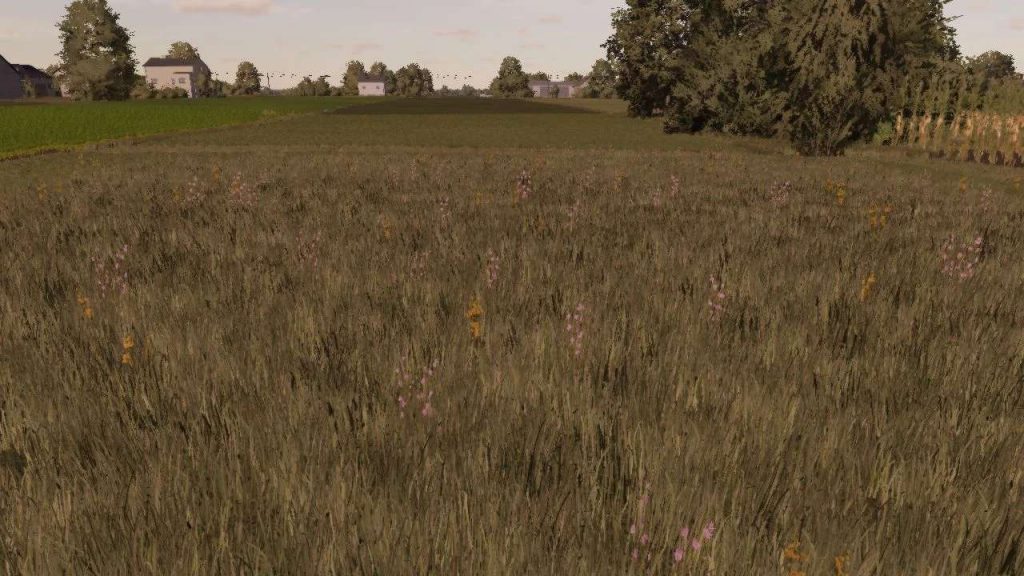 FS22 Tekstura łąki v1.0.0.0 - FS25 Mody | FS22 Mody